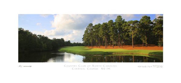 Country Club of North Carolina Cardinal Course No. 14 | Stonehouse Golf